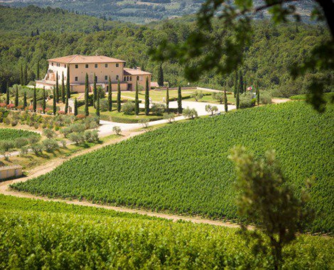 O nás • Wine & Food Shop Lavite